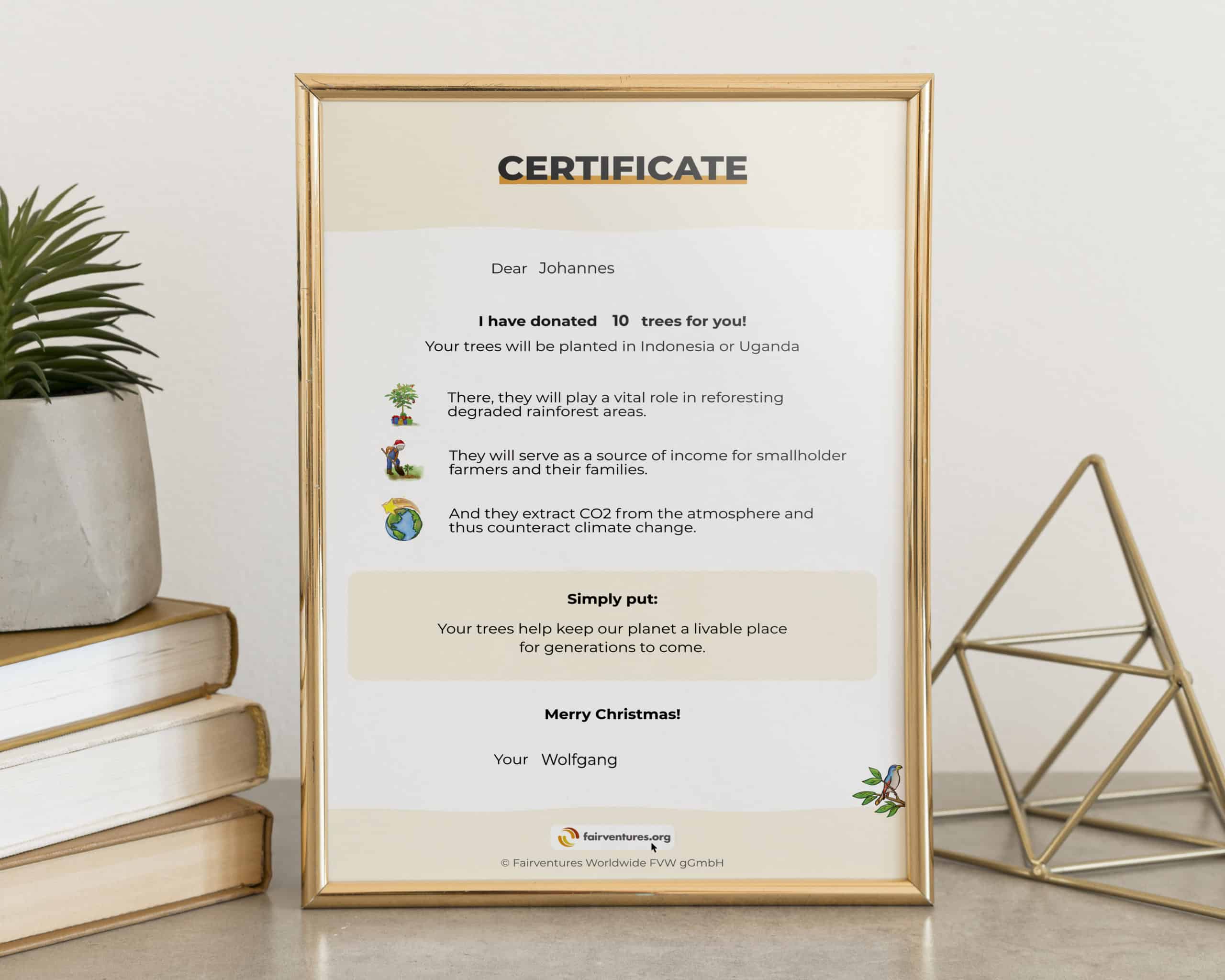 Gift A Tree | Fairventures Worldwide